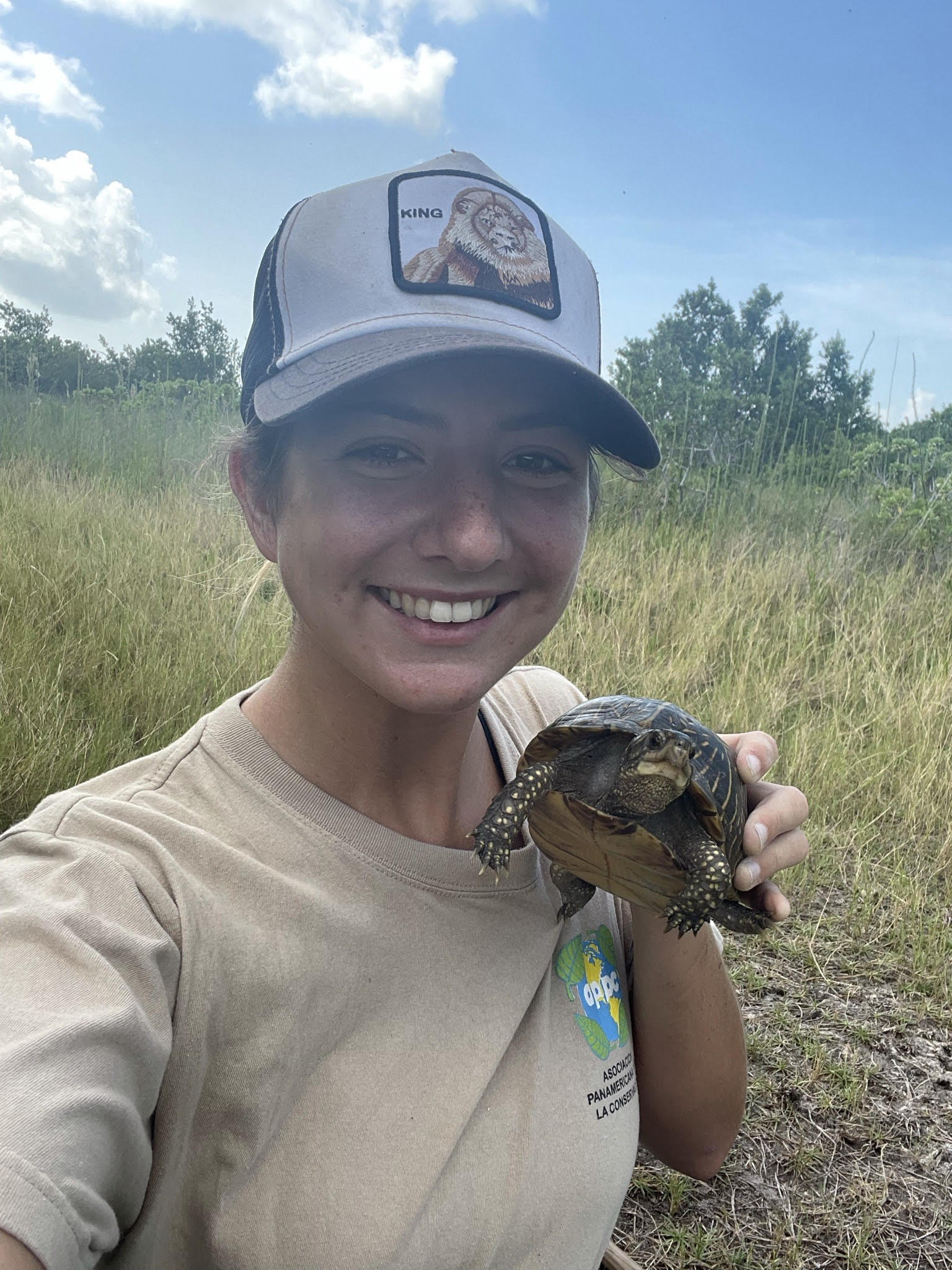 Avian Vet | Exotic Vet