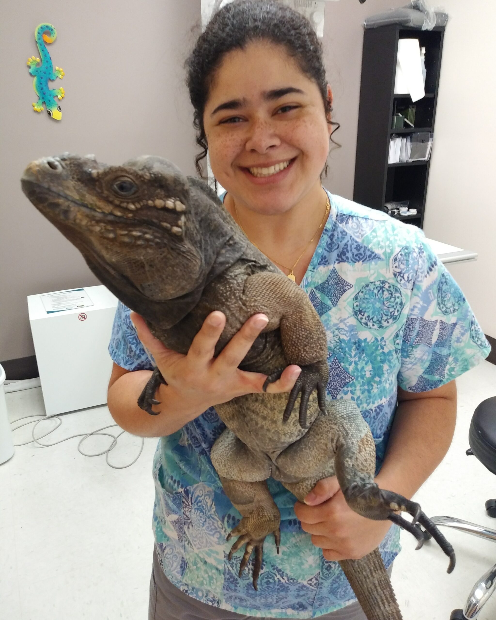 Avian Vet | Exotic Vet